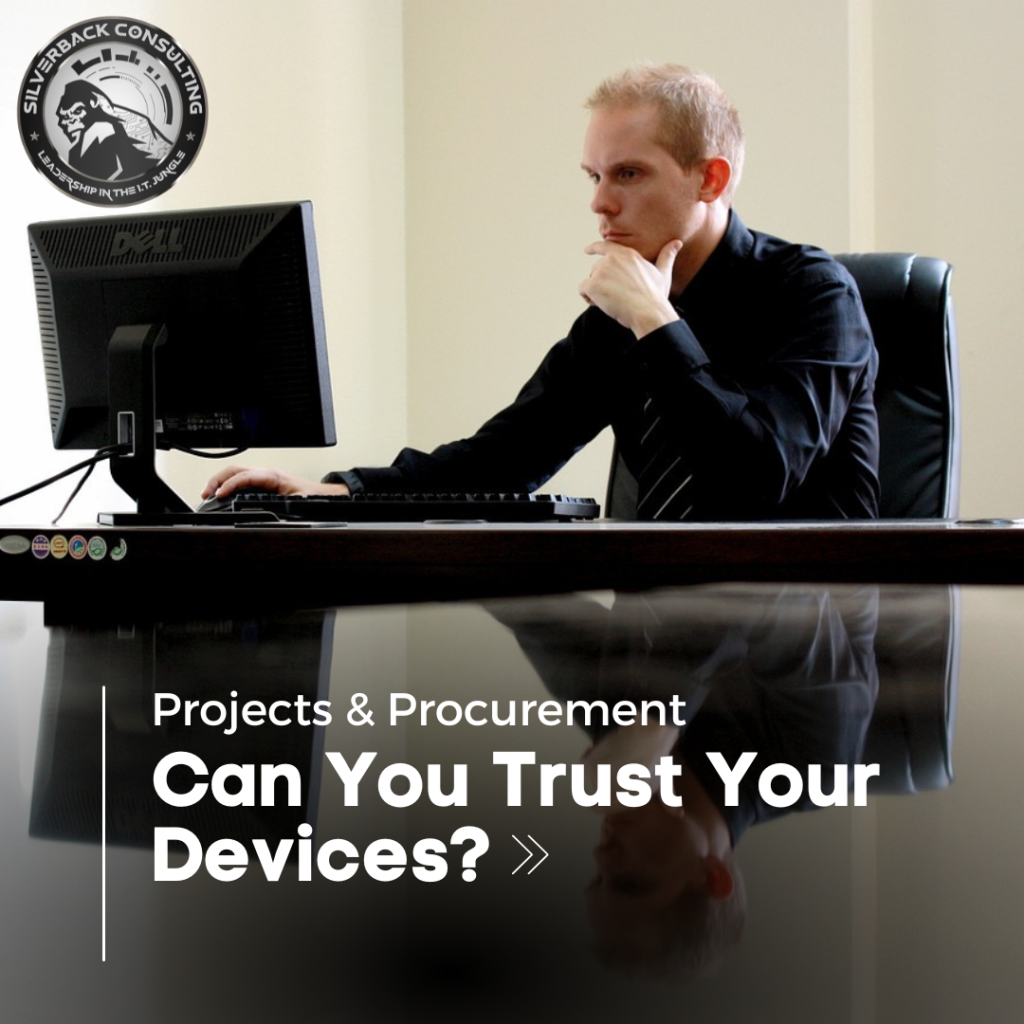 Projects & Procurement - Silverback Consulting