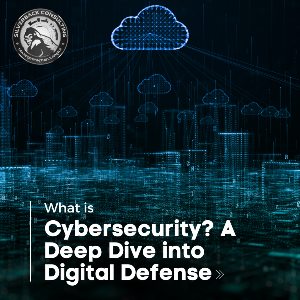 What is Cybersecurity? - Silverback Consulting